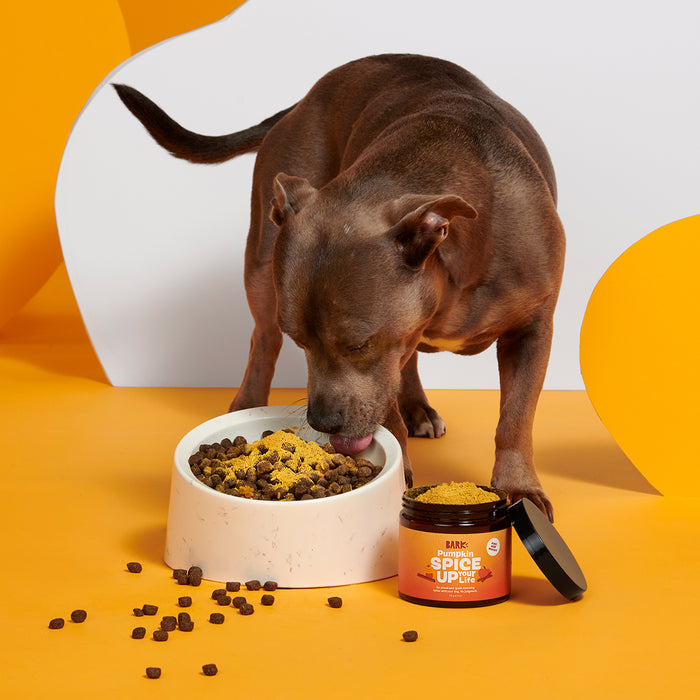 Pumpkin Spice, And Everything Nice - Vegetarian Dog Food Meal Topper 6