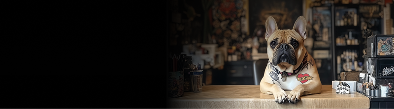 BARK: Shop BarkBox, Food, Toppers, Treats, Dental, Toys and more!