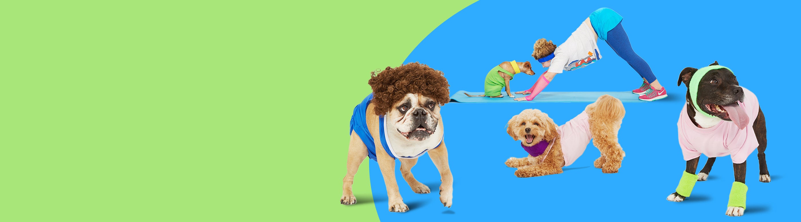 BARK: Shop BarkBox, Food, Toppers, Treats, Dental, Toys and more!