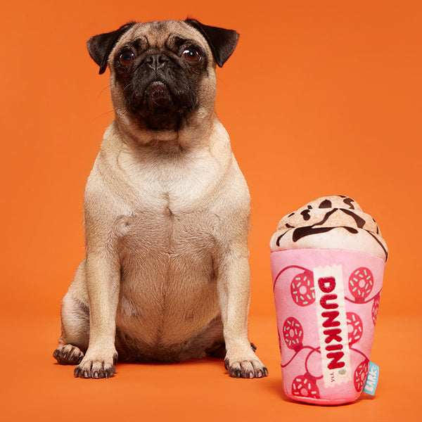 BARK + Dunkin