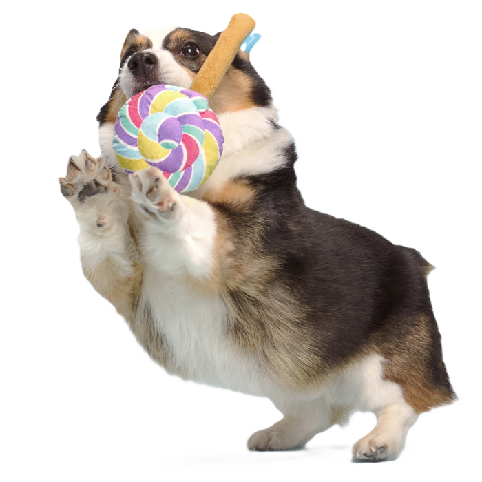 Lick-A-Lot Lollipop Plush Tug Dog Toy – BARK