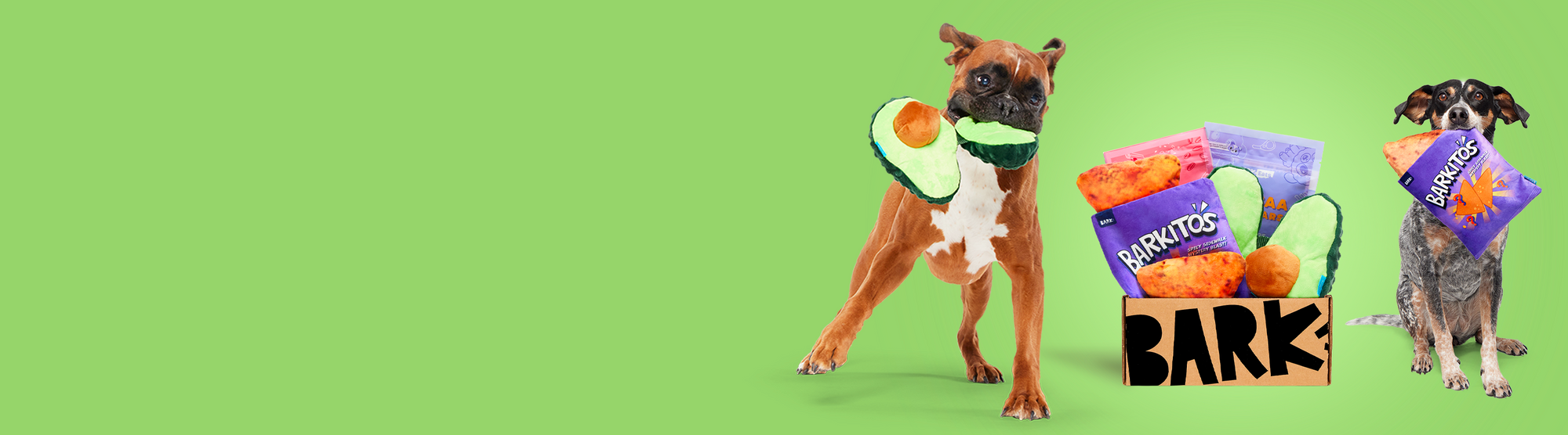 BARK: Shop BarkBox, Food, Toppers, Treats, Dental, Toys and more!