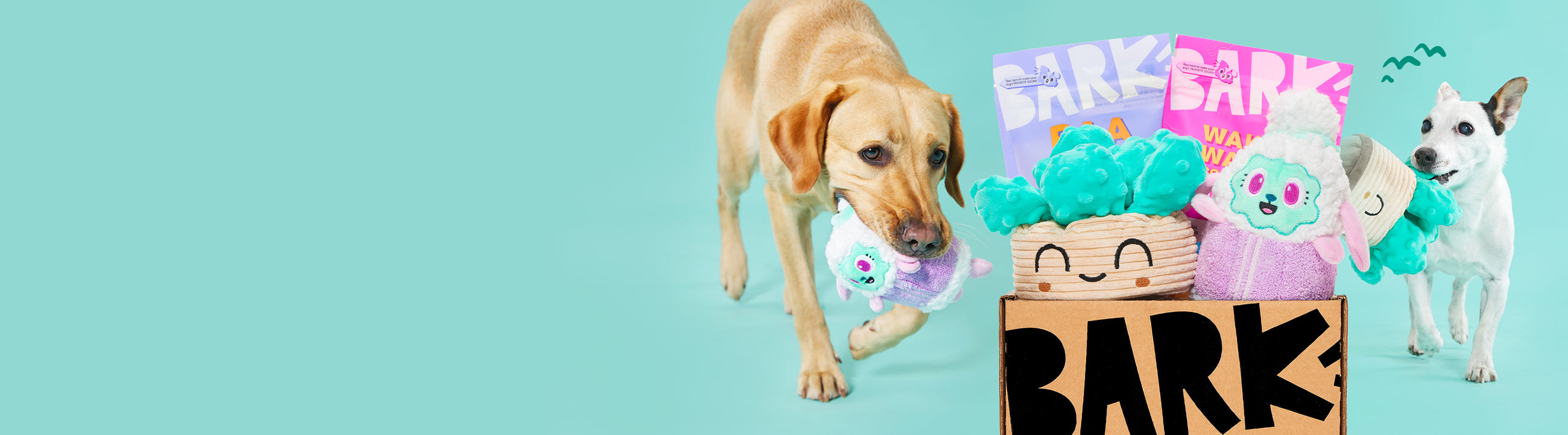 BARK: Shop BarkBox, Food, Toppers, Treats, Dental, Toys and more!