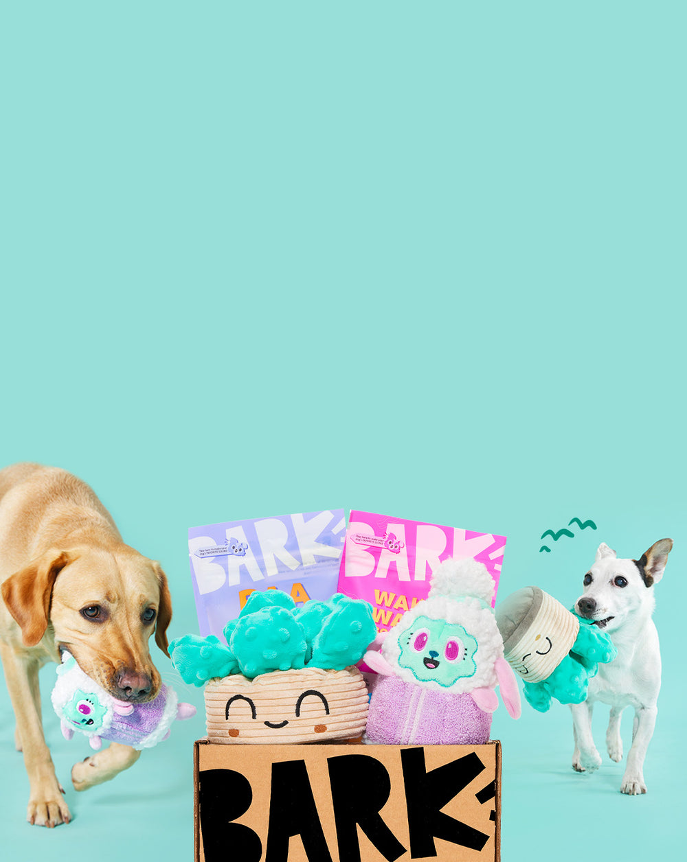 BARK: Shop BarkBox, Food, Toppers, Treats, Dental, Toys and more!