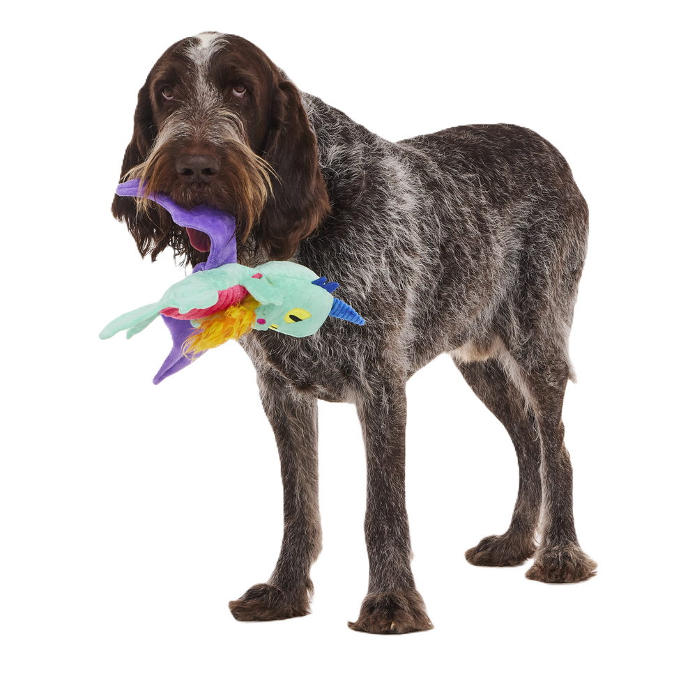 Chongus The Dragon Plush Extra-Large Dog Toy