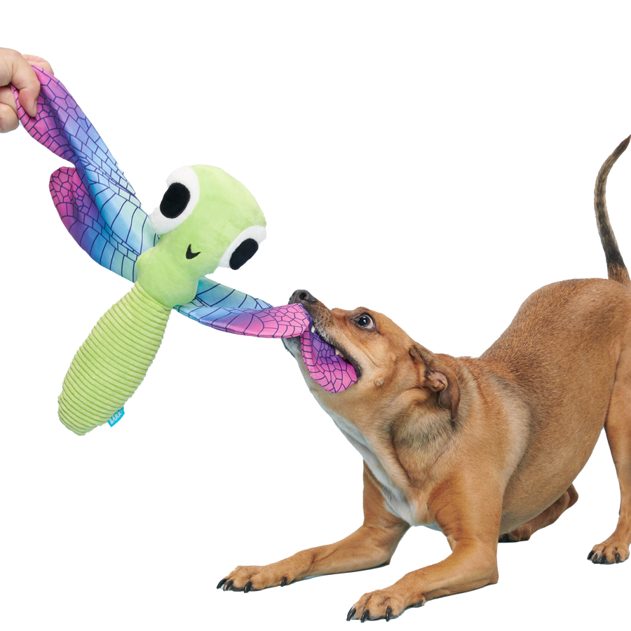 BARK Dog Toys, Bundles, and Accessories on Sale