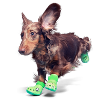 Crocs™ For Dogs