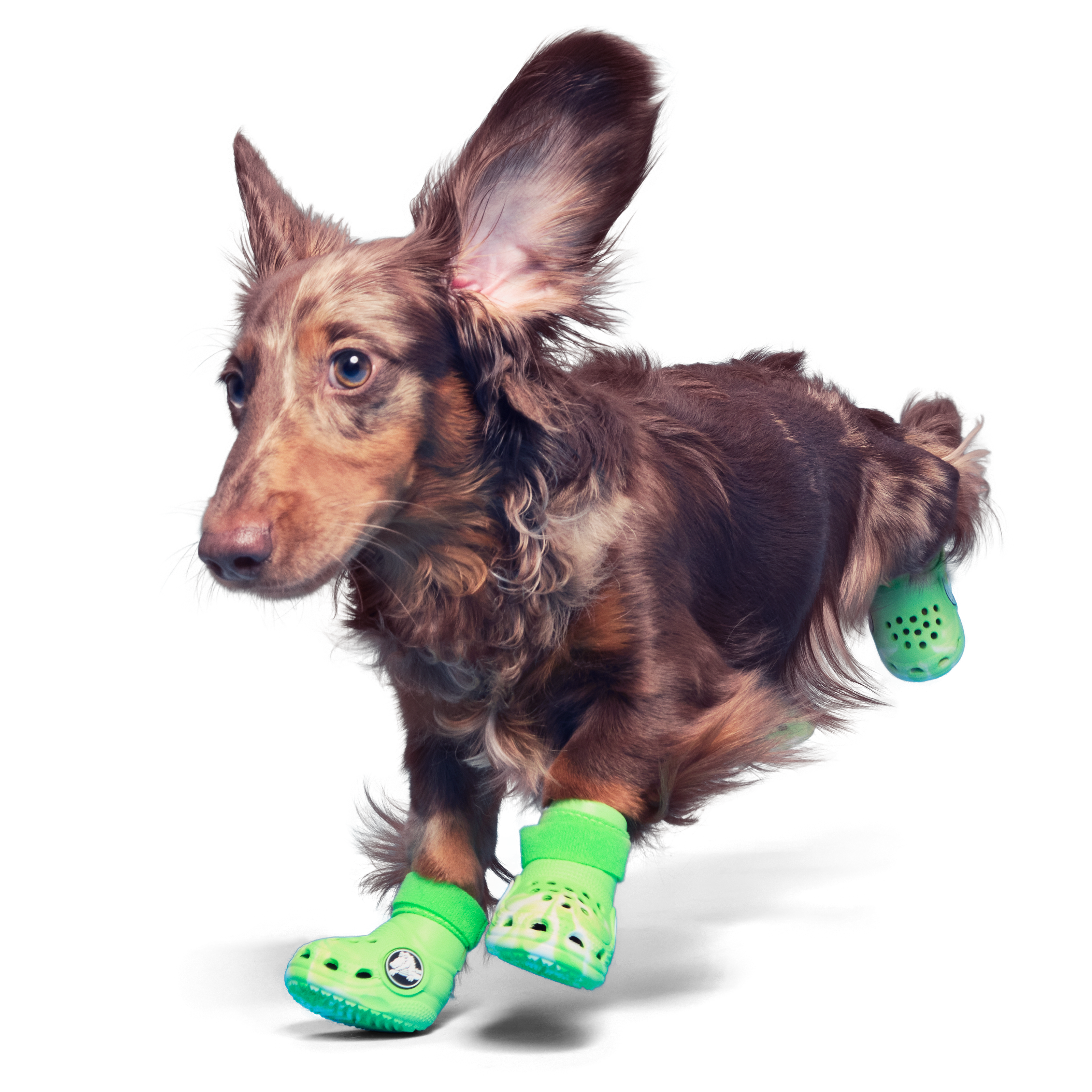 Crocs™ Shoes For Dogs