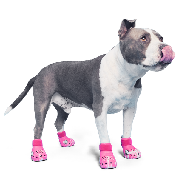 Crocs™ Shoes For Dogs | Dog Crocs by BARK