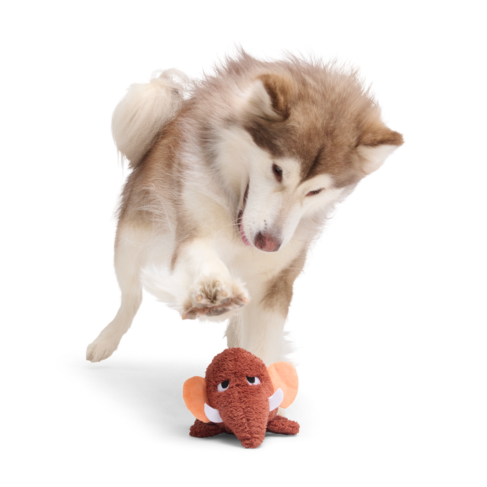 Mama Jama Mammoth Plush 2-in-1 Rip and Reveal Dog Toy – BARK
