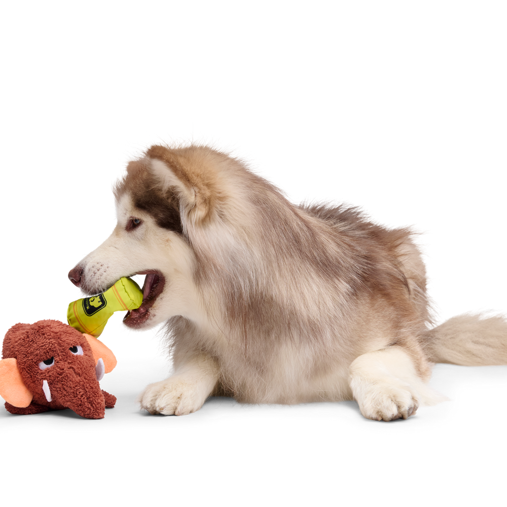 Mama Jama Mammoth Plush 2-in-1 Rip and Reveal Dog Toy – BARK