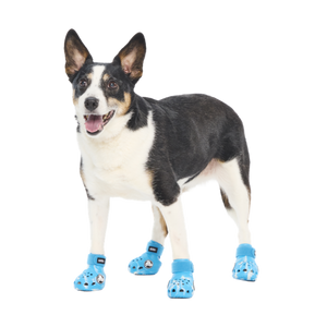 Crocs™ Shoes For Dogs | Dog Crocs by BARK