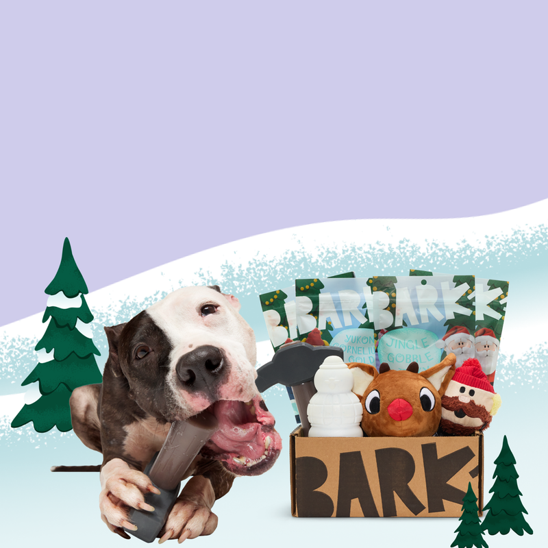 BARK: Shop BarkBox, Food, Toppers, Treats, Dental, Toys and more!