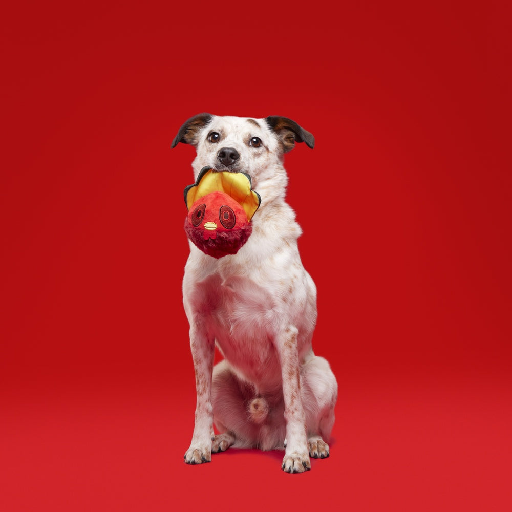 Tough Stuffed Turducken Durable Super Chewer 2-in-1 Rip and Reveal Dog ...