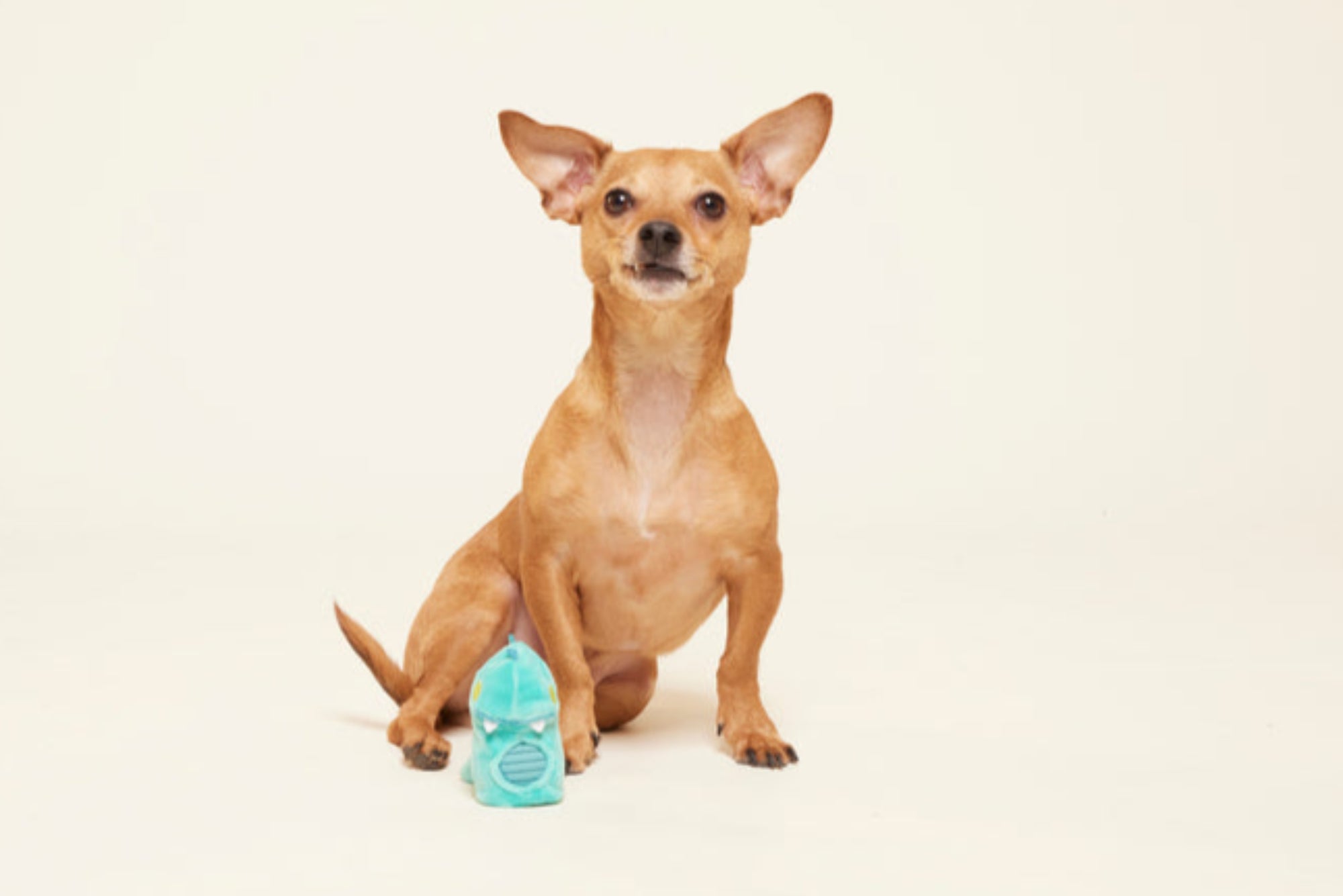 Chomposaurus Super Chewer Durable 2-in-1 Rip and Reveal Dog Toy – BARK