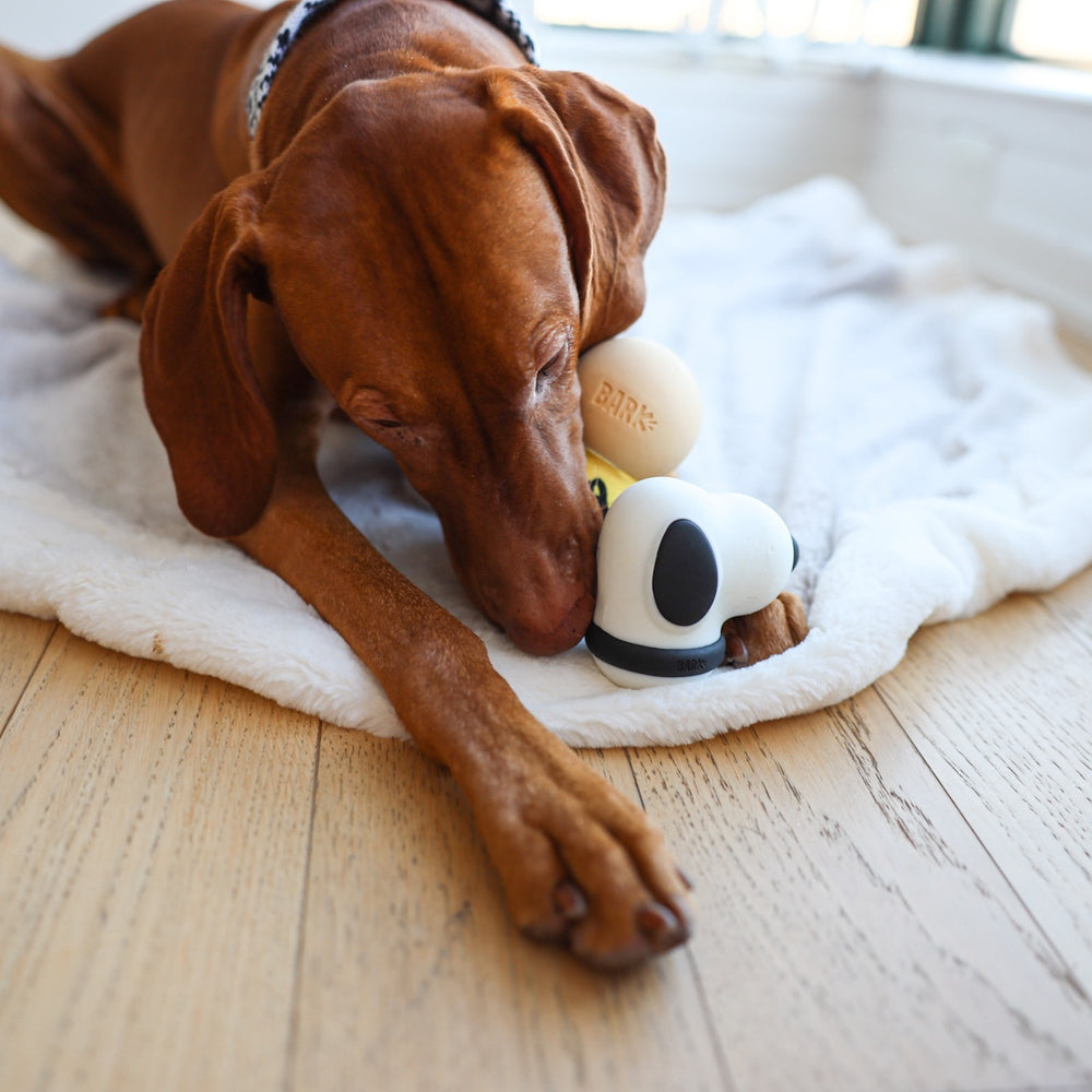 Snoopy Durable Super Chewer Dog Toy – BARK