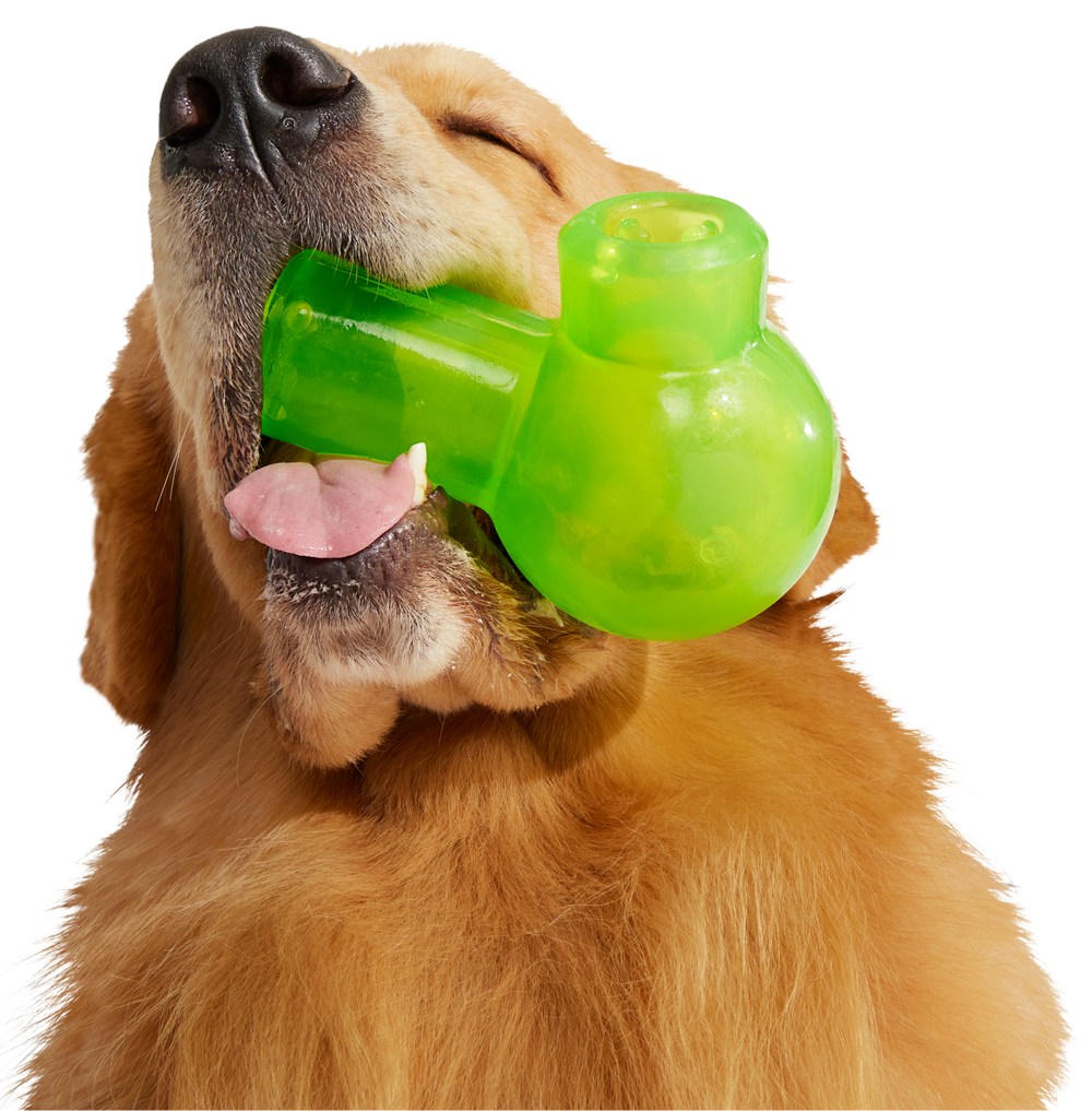 Snack Packed Bong Dog Toy
