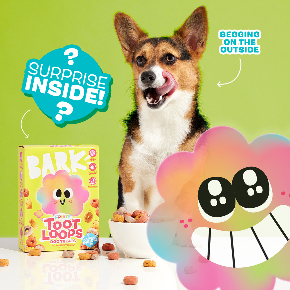 Fruity Toot Loops™ Crunchy Dog Treats - Mixed Berry Blend
