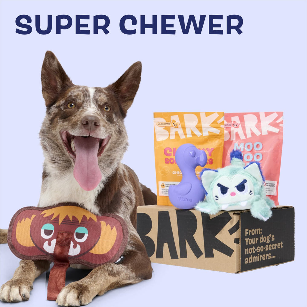 BARK: Shop BarkBox, Food, Toppers, Treats, Dental, Toys and more!