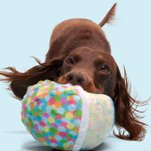Yippin' Spots Ice Cream Plush Fetch Dog Toy – BARK