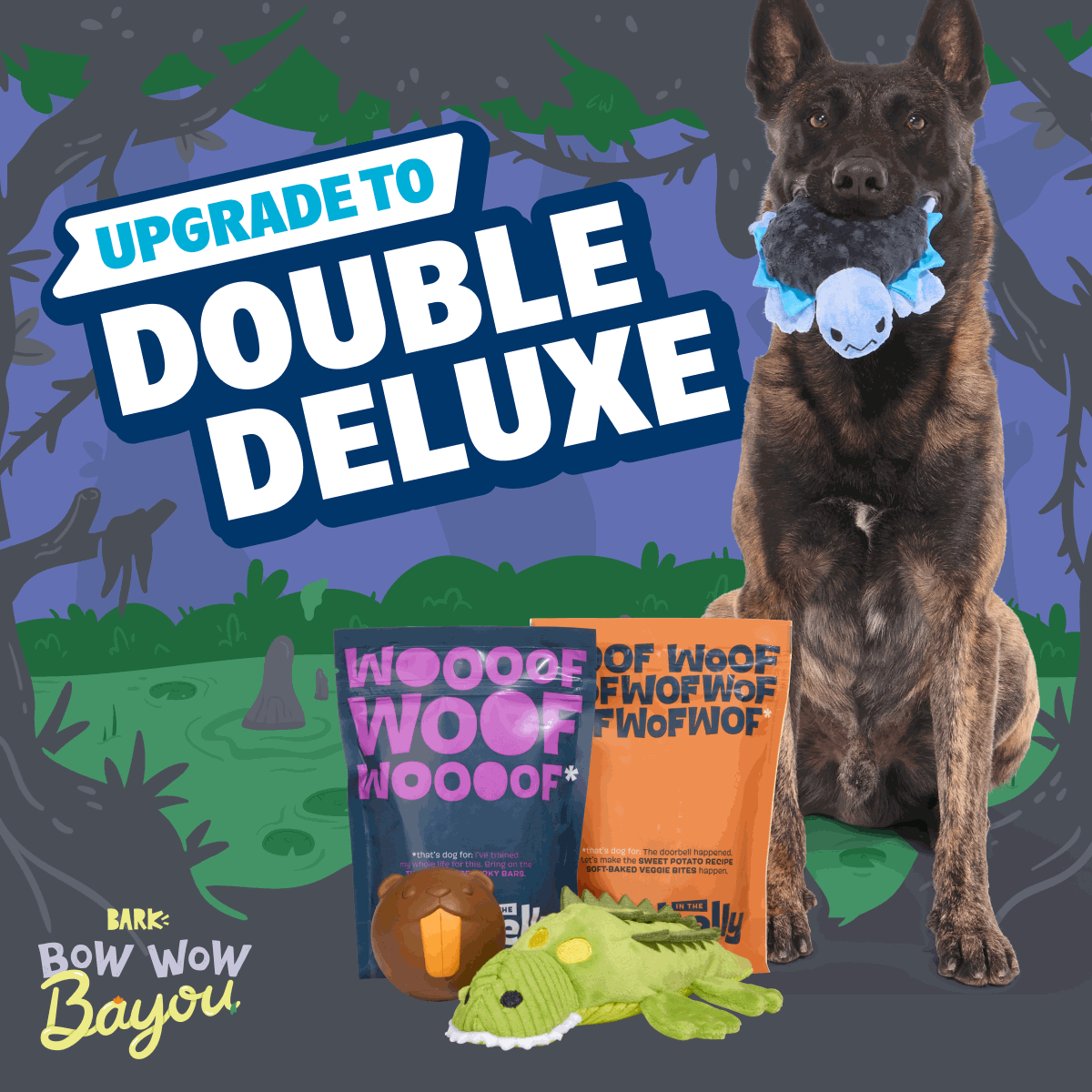 Combo Box Double Deluxe Toys & Treats Upgrade