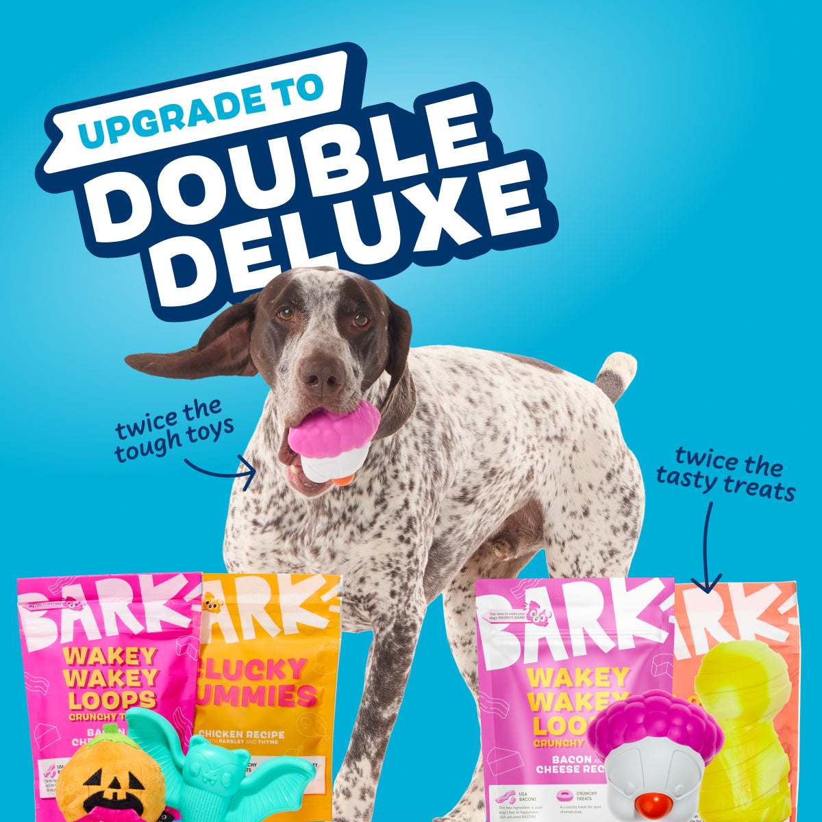 Super Chewer Double Deluxe Toys & Treats Upgrade