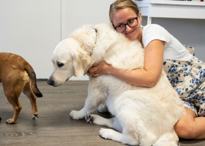 About Bark: Bringing Joy to Dogs & Their Humans