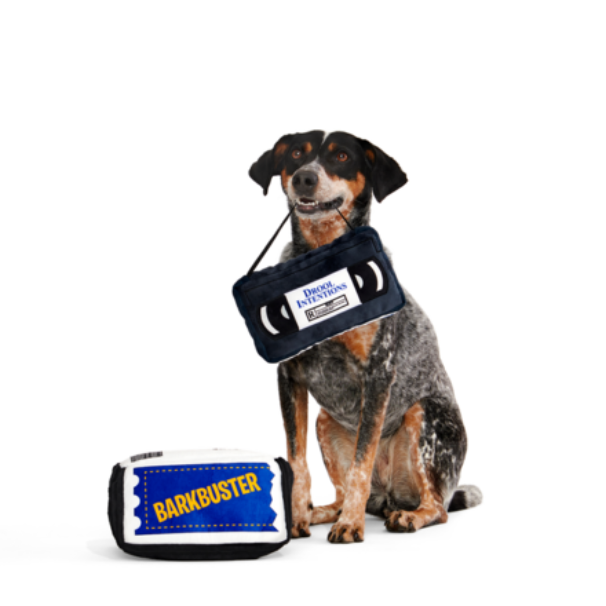 BARKBuster Video Dog Toy