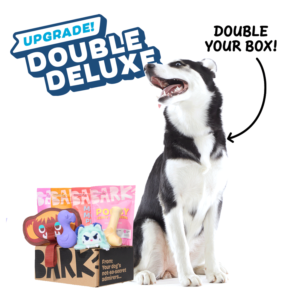 BarkBox Double Deluxe Toys & Treats Upgrade