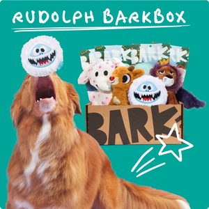 BARK: Shop BarkBox, Food, Toppers, Treats, Dental, Toys and more!