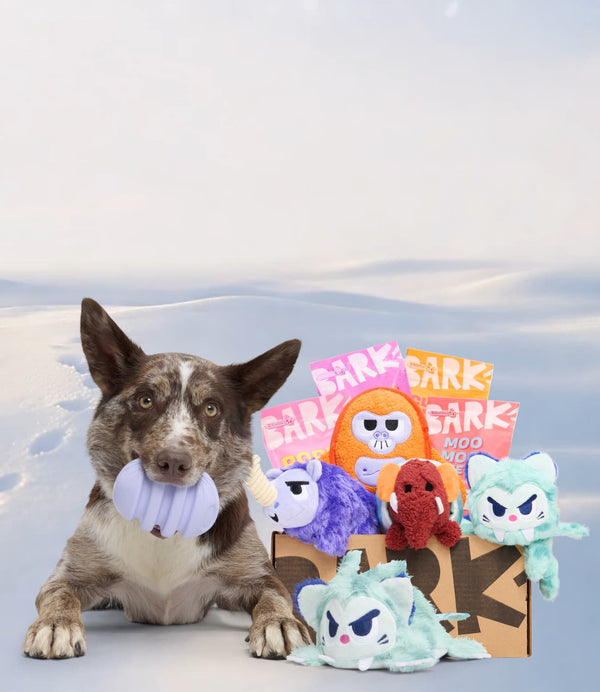 BARK: Shop BarkBox, Food, Toppers, Treats, Dental, Toys and more!