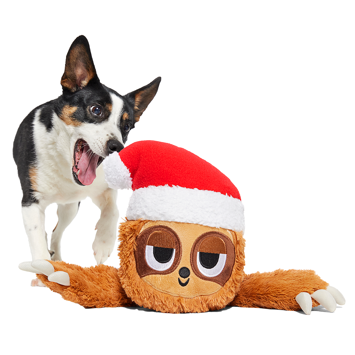 Let It Slow Plush Extra-Large Tug Dog Toy – BARK