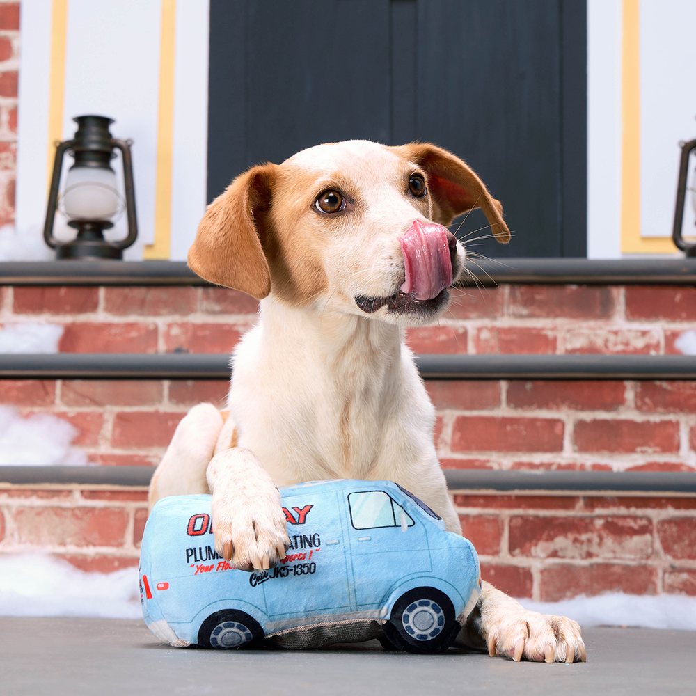 Oh-Kay Christmutts Van – BARK