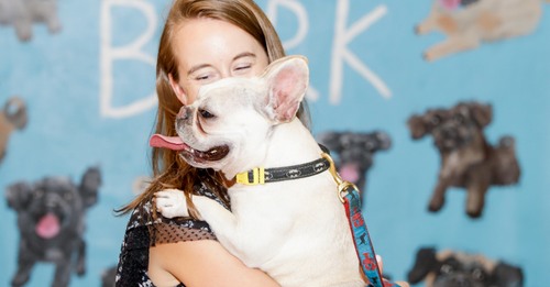 About Bark: Bringing Joy to Dogs & Their Humans – BARK