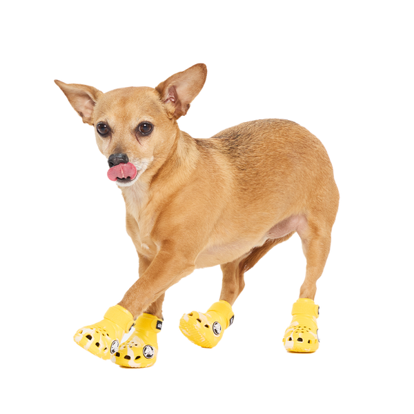 Crocs™ Shoes For Dogs | Dog Crocs by BARK